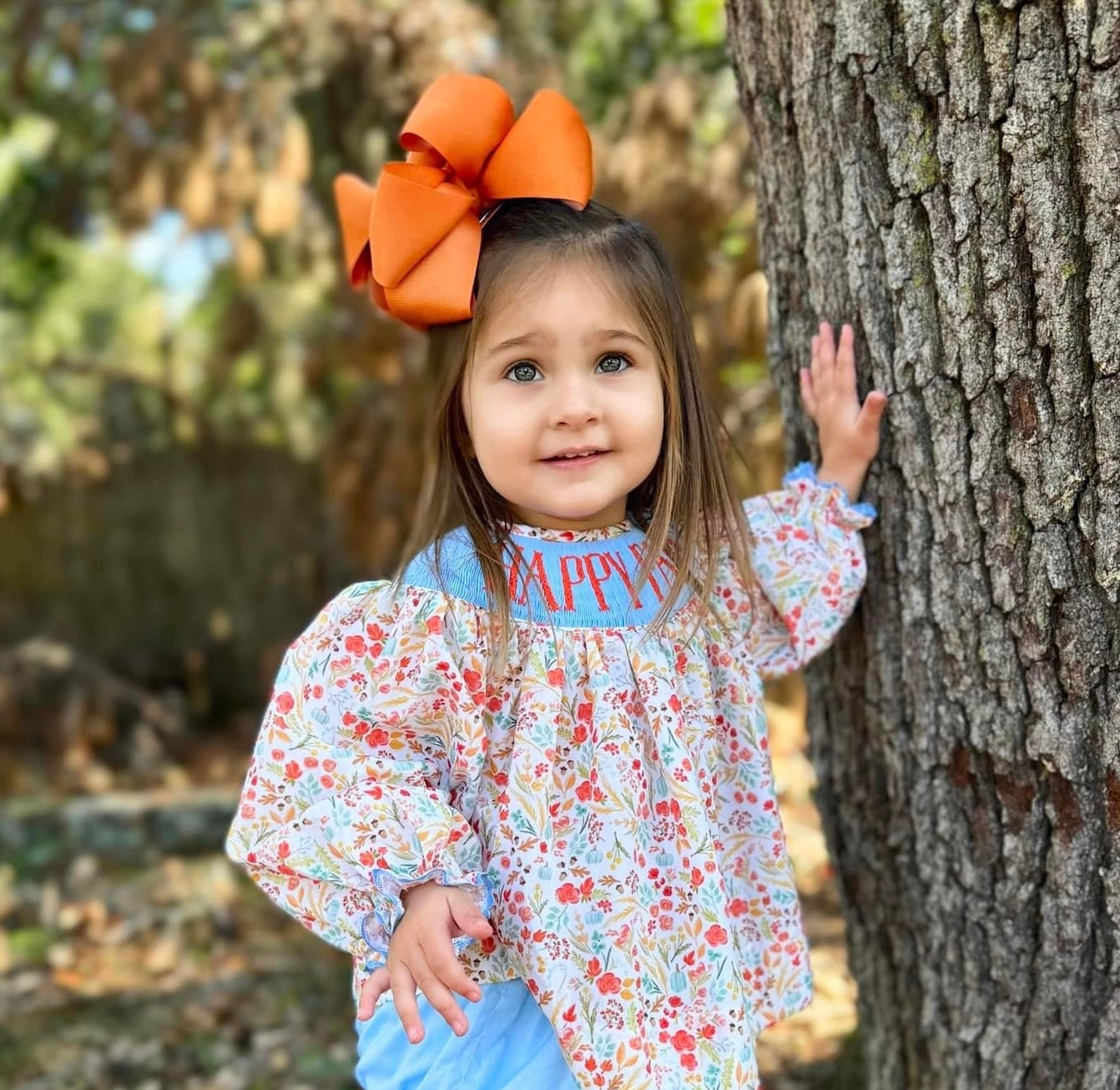 Southern Sass Smocks